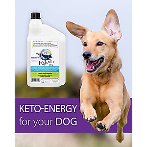 C8 MCT Oil Keto Friendly Sourced from Coconut Oil for Dogs - Human Grade, 32 oz, Developed in USA by PhD Nutrition