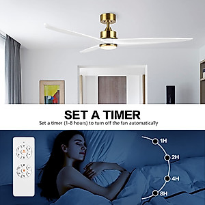 WINGBO 60 Inch DC Ceiling Fan with Lights and Remote Control, 3 Reversible Carved Wood Blades, 6-Speed Noiseless DC Motor, Modern Ceiling Fan in Brass Finish with White Blades