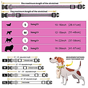 Custom Dog Collar,Reflective Embroiderd Dog Collar with Name and Phone Number in Orange,Black,Rose,Red and Cyan,for Boy and Girl Dog Collar,4 Adjustable Sizes Small,Medium,Large,XL Large