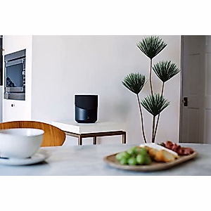 Bluesound Pulse M Omni-Hybrid Wireless Music Streaming Speaker with Bluetooth - Black - Compatible with Alexa and Siri