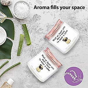 Funny Get Well Soon Gifts for Women or Men, at Least You Don’t Have to Wear A Cone, Wellbeing, Recovery Feel Better Gifts for Friend, Mom, Daughter, Sister, Wife, Girlfriend, Lavender Scented Candle