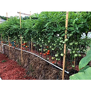 BaleBuster1 100% Organic Bale Conditioning Formula for one Bale Preparation for Straw Bale Garden and Vegetable Garden Planting