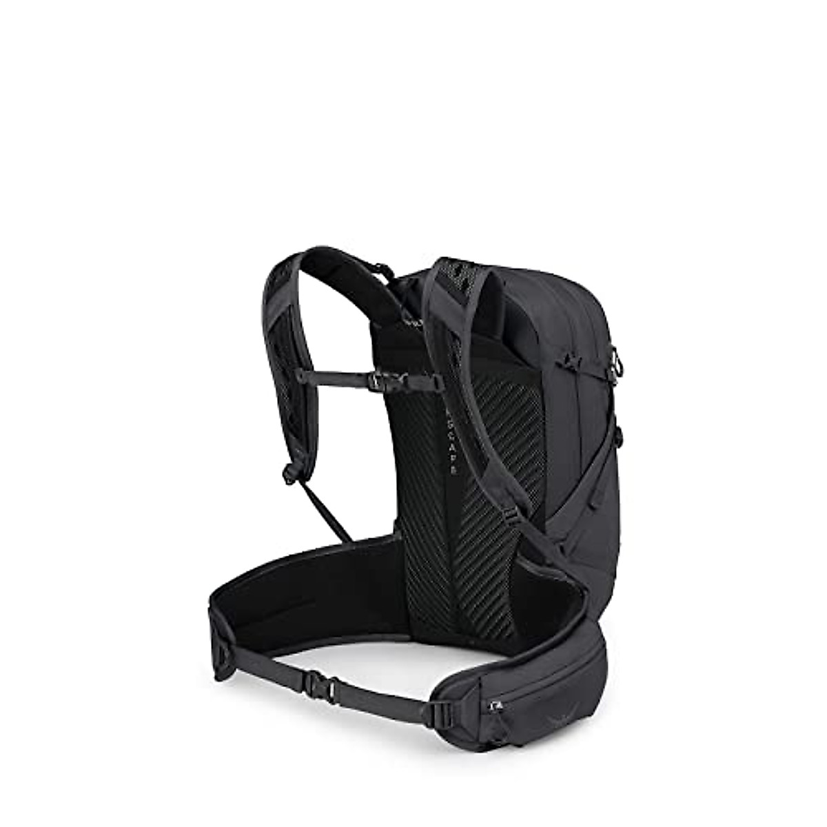 Osprey Sportlite 25L Unisex Hiking Backpack, Dark Charcoal Grey, M/L, Extended Fit