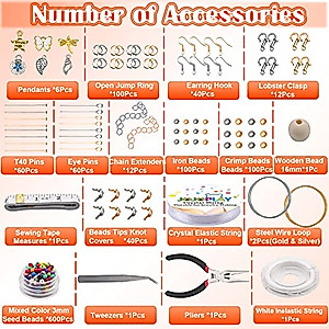 JOJOPLAY Irregular Natural Gemstone Beads Kit Include Seed Beads,Wooden Beads,Tassels,Pendants,Jewelry Findings,Earring Hooks,Embroidery Floss,String for Bracelet Necklace Jewelry (Dark&Light Stone)