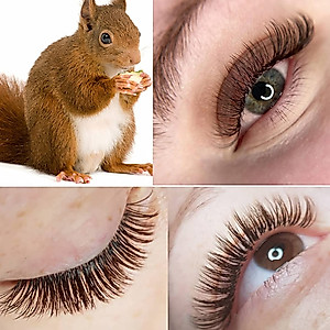 EMEDA Colored Lash Extensions D Curl .07 Thickness Brown Color Lashes Extension 9-15mm Mixed Tray Pop Hot Colorful Classic Single Individual Eyelash Extensions (0.07mm D Curl Mix 9-15mm)