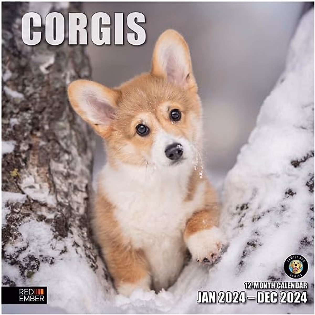 RED EMBER Corgis 2024 Wall Calendar 12 Month | 12" x 24" Open | Thick & Sturdy Paper | Giftable | Calendar 2024