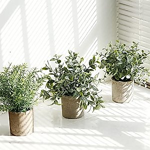 Gleenwave Artificial Plants 3 Potted Mini Fake Plants Artificial Eucalyptus Decorative Plants for Home Decor Indoor Room Table Office