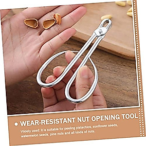 Multitools 2pcs Pine Nut Clip Mini Tools Multipurpose Tool Mini Multi Tool Chestnut Peeler Daily Nut Opener Portable Nut Opener Nut Accessories Daily Nuts Seafood