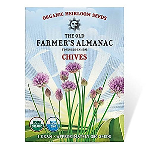 The Old Farmer's Almanac Heirloom Organic Chive Seeds - Approx 250 Seeds