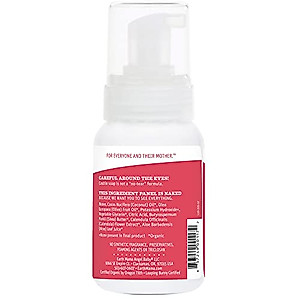 Earth Mama Simply Non-Scents Foaming Hand Soap | Fragrance-free with Organic Calendula + Rooibos for Sensitive Skin, 5.3-Fluid Ounce