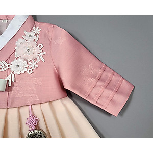 100 Day Birth Hanbok Korea Traditional Dress Lovely Dusty Pink Top Chiffon Layers Skirt