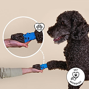 PATCH Eco Pet First Aid Kit for Dogs and Cats. Cat and Dog First Aid Kit with Bandages, Gauze Pads, Tweezers, Scissors, Dog Tick Remover &. Glove. Emergency First Aid Kit for Animals Including Puppy