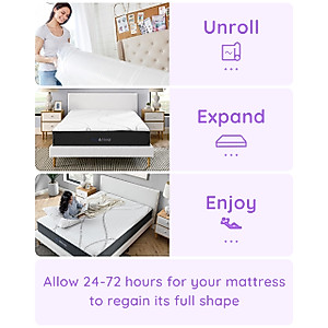 NAP&SLEEP Memory Foam Mattress - Lavender Infused with Cold Touch Cover, Medium Firm to Plush Feel, Helps with Sleep - Sizes Full, Queen, King, 10", 12", 14" (12" Medium, King (U.S. Standard))