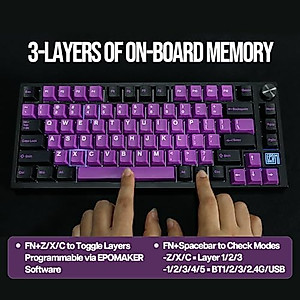 EPOMAKER TH80 SE Gasket 75% Mechanical Keyboard, NKRO Hot Swappable RGB 2.4Ghz/ Bluetooth 5.0/ Wired Gaming Keyboard with Poron/EVA Foam, 4000mah Battery (Black Purple, Flamingo Switch)
