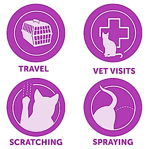 FELIWAY Spray Classic Spray, 60 mL - Reassures Cats During Car Travel, Veterinary Visits & Helps Control Unwanted Behaviours Like Urine Spraying, Scratching - (60 mL Spray, 1-Pack)