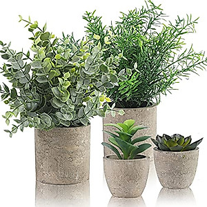 ALAGIRLS Small Fake Plants Set of 4 - Eucalyptus Rosemary Succulents Plants Artificial in Pots for Home Decor Indoor - Mini Faux Potted Plants for Bedroom Bathroom Living Room Desk Shelf Decoration