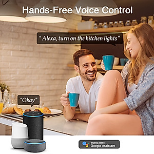 Smart Bulb, Wi-Fi Light Bulb That Compatible with Alexa and Google Home, LED Warm White Dimmable 2700K Light Bulb, A19 E26 800 Lumens, 75w Equivalent, 2.4GHz Wi-Fi Only, 4 Pack