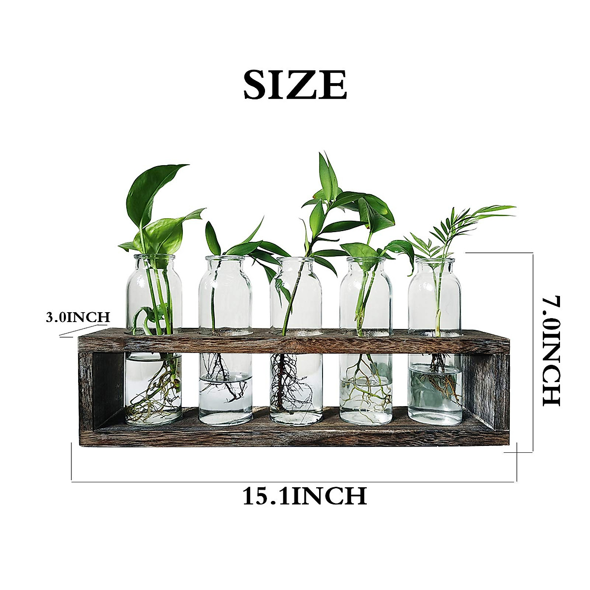 KatoonX Flower Vase Set with Wood Rack Plant Terrariums Kit for Hydroponics Plants Home Garden Wedding Centerpiece Decor (Rustic)