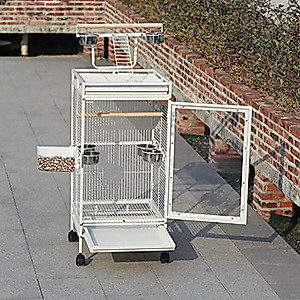 Mipcase 4pcs Bird Cups, Budgerigar Bowl, Animal Feeders Trough Winged Feeders, Cages for Conure Bowls, Thickened Cup Spillage Accessorytransparent Pet Small Canary Accessory Parrot Seeds