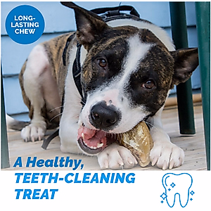 123 Treats | Cow Hooves for Dogs (50 Count) 100% Natural Long-Lasting Dental Dog Chews Made from Beef Hoof | from Free Range, Grass Fed Cattle with NO additives, Coloring or Chemicals