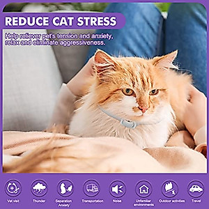 LIZCOM 6 Pack Calming Collar for Cats,Cat Calming Collar,Cat Pheromone Collar,Adjustable Calming Cat Collars for Cat Stress Anxiety Relief