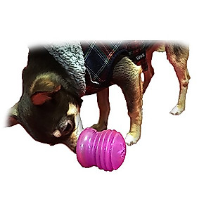 Triple Crown DTC00126 Everlasting Groovy Ball, Medium