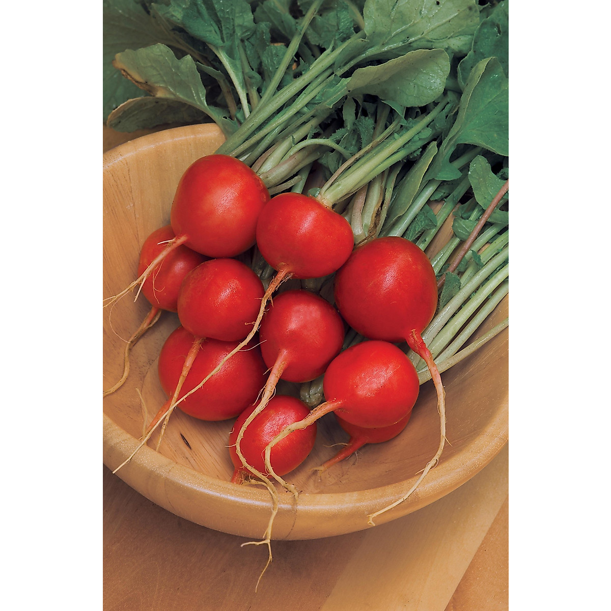 Burpee Cherry Belle Radish Seeds 1000 seeds