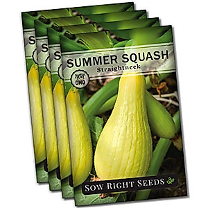 Sow Right Seeds - Straight Neck Yellow Summer Squash Seed for Planting - Non-GMO Heirloom Packet with Instructions to Plant a Home Vegetable Garden - Great Gardening Gift (4)