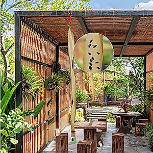 Ckyuna 30 Packs Fly Paper，Fly Strips，Fly Tapes, Fly Trap, Fly Catcher Ribbon,Fly Catcher Trap, Fly Ribbon, Fly Bait