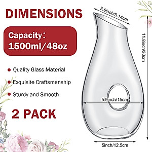 2 Pcs 48 Wine Decanter Carafe, Wine Aerator, Clear Glass Pierced Pitcher Juice Jar for Red Wine Beer Water Tea Lovers Gift Wedding Birthday Party Supplies