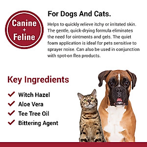 Vet Classics Allergy Hot Spot Foam for Dogs and Cats – Pet Spray for Hot Spots, Itchy, Irritated Skin – Includes Aloe Vera – Quiet Pet Foam for Sensitive Skin, Quick-Drying – 8 Oz.