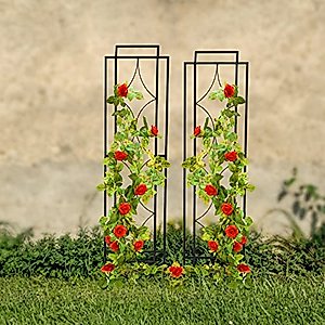 2 Pack Garden Trellis, for Climbing Plants Black Steel Potted Support Vines Metal Wire Plant Trellis for Climbing Vegetables Flower Patio Roses Cucumbers