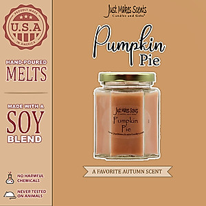 Pumpkin Pie Scented Blended Soy Candle | Hand Poured Fall Fragrance Candles | Made in The USA by Just Makes Scents