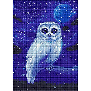 DIAMOND ART CLUB Snowy OWL Diamond Painting Kit, Animal Diamond Canvas, Round 5D Diamond Art for Adults and All Ages, 13" x 18" (32.8 x 46 cm)