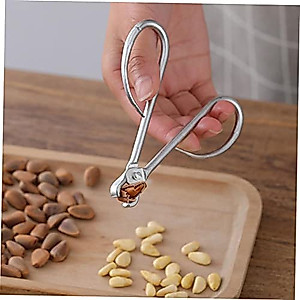 Multitools 2pcs Pine Nut Clip Mini Tools Multipurpose Tool Mini Multi Tool Chestnut Peeler Daily Nut Opener Portable Nut Opener Nut Accessories Daily Nuts Seafood