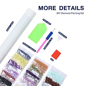 Mingming Diamond Painting Fairy and Tiger Angel DIY 5D Full Drill Round for Beginners Fantasy Forest Art Kit Crafts Adults Kits Accessories Dot Paint Gem Numbers 12X16in