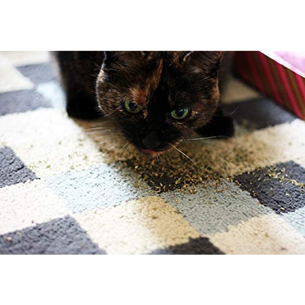 Meowijuana® Kalico Kush - Valerian Root and Catnip Blend - Large Bottle