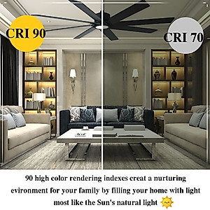 winsaLED Light Bulbs 75 watt, LED Bulbs 60~75 Watt Equivalent, 7W=75W, High Bright 850lm E26 Medium Base, Daylight 4000K Vintage Light Bulb 12pack, Non-Dim…