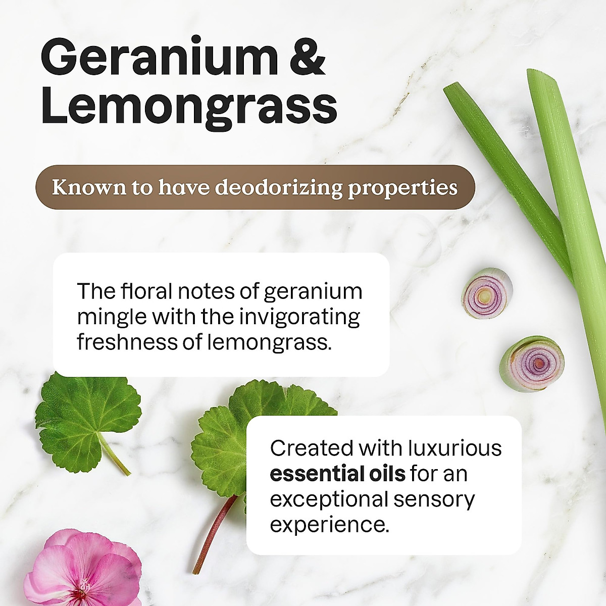 ATTITUDE Laundry Detergent with Essential Oils, EWG Verified, Vegan, Plant and Mineral-Based Ingredients, HE, Refillable Aluminum Bottle, 40 Loads, Geranium and Lemongrass, 33.8 Fl Oz