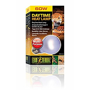 Exo Terra Sun-Glo Neodymium A19 Lamp [Set of 2] Watt: 60 W