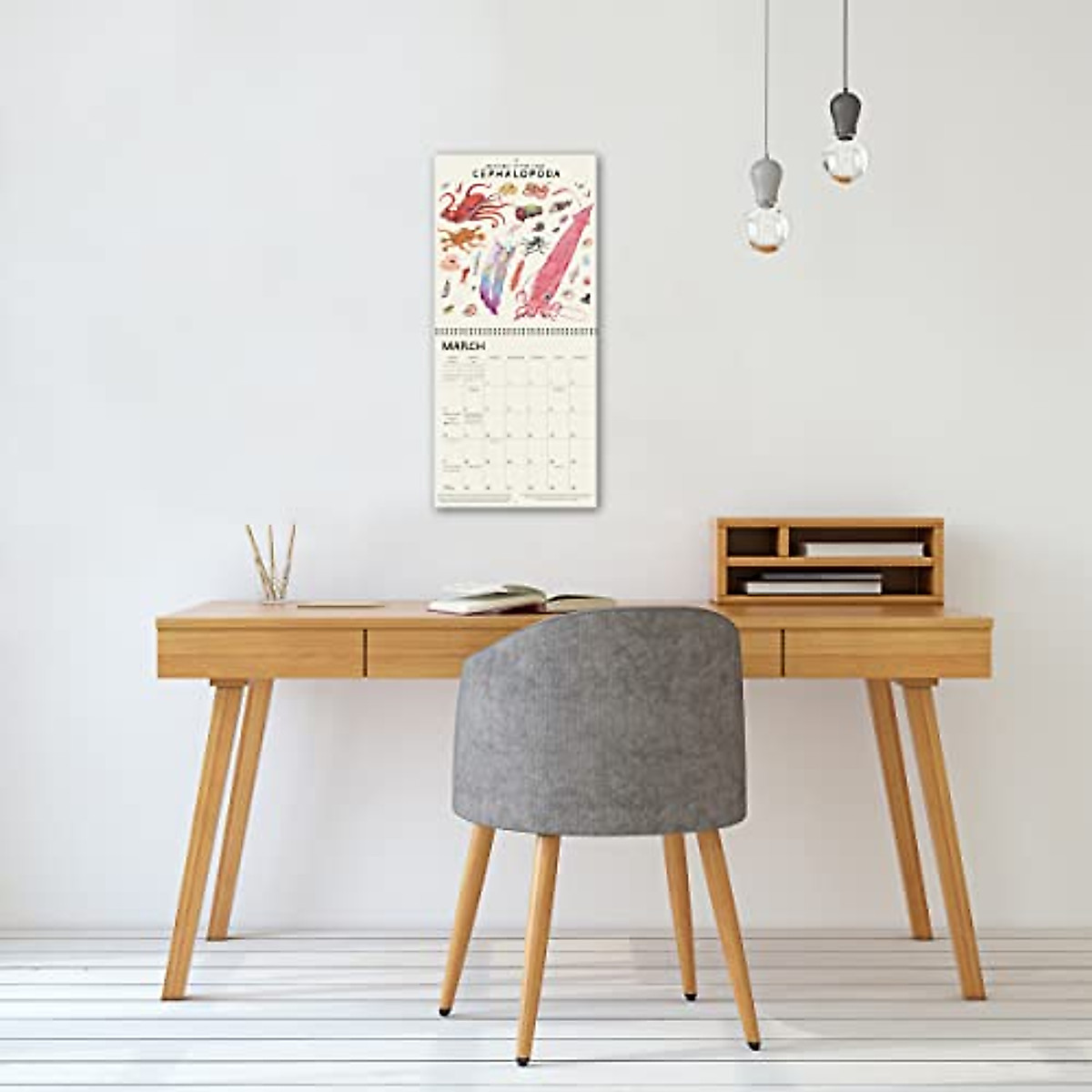 High Note 2024 Monthly Wall Calendar Planner, 16-Month Art Calendar: September 2023 - December 2024, 11" x 12" - Orders of The Animals