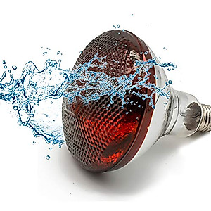 Fengrun Infrared Heat Lamp Waterproof Anti-Explosion Light Bulb for Piglet Chicken Duck Birds(150w,120v)