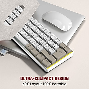 Mini Mechanical Gaming Keyboard Type-c Wired with PBT Dye-subbed Keycaps Rainbow RGB Backlit 60%Layout Full Anti-Ghosting 62 Key Ergonomic for Typist Laptop PC Mac Gamer (White Main/Red Switch)