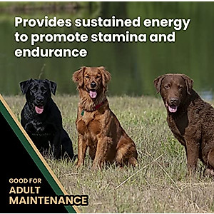 Victor Super Premium Dog Food – Performance Dry Dog Food – 26% Protein for Active Adult Dogs – Includes Glucosamine and Chondroitin for Hip and Joint Health, 40lbs