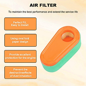 TIANYAN 795066 796254 Air filter Replacement For 775 775EX 800 800E 825E 850 850E 875EX 950E Series Engine HD775HW HU775AWD HU775BBC HU775H HU775HW Troy Bilt TB360 Lawn Mower Air Filter(2 PCS)