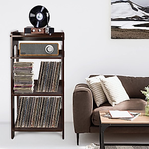 ikare Record Player Stand, Turntable Stand Display Sofa Side Phonograph Table 4 Tier Vinyl Cabinets Table with Metal Legs,Media Storage Vinyl Holder Display Shelf for Living Room Bedroom Home Office