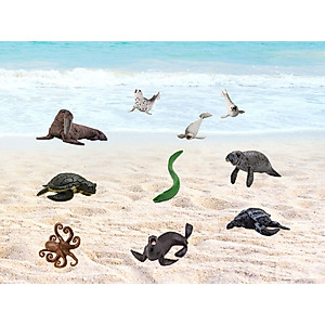 Polar and Sea Animals Figurines Playset 16 Pcs, Detailed Bear, Whale Figures, Walrus, Penguin Toy Set, Cake Toppers Birthday Gift for Kids