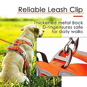 ThinkPet No Pull Harness Breathable Sport Harness with Handle-Dog Harnesses Reflective Adjustable for Medium Large Dogs,Back/Front Clip for Easy Control M Neon Orange