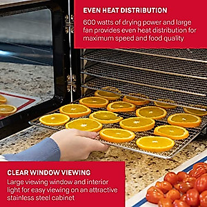 NESCO FD-7SSD Digital Food Dehydrator for Beef Jerky, Dried Fruit and Dog Treats, 7 Stainless Steel Trays, Silver