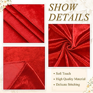 FANPROMS Red Carpet Runner for Party 4FTx20FT Aisle Runner for Wedding Velvet Aisle Floor Runner Include Carpet Tapes Decorative Wedding Runway Carpet for Parties Prom Anniversary Beach Carpet Rug